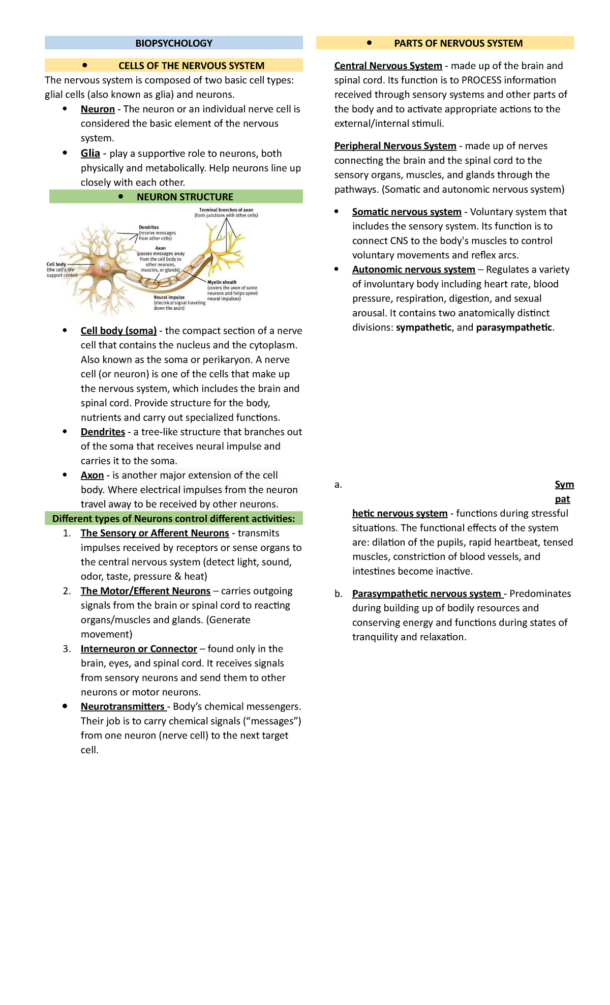 Biopsychology - reviewer - BIOPSYCHOLOGY CELLS OF THE NERVOUS SYSTEM ...