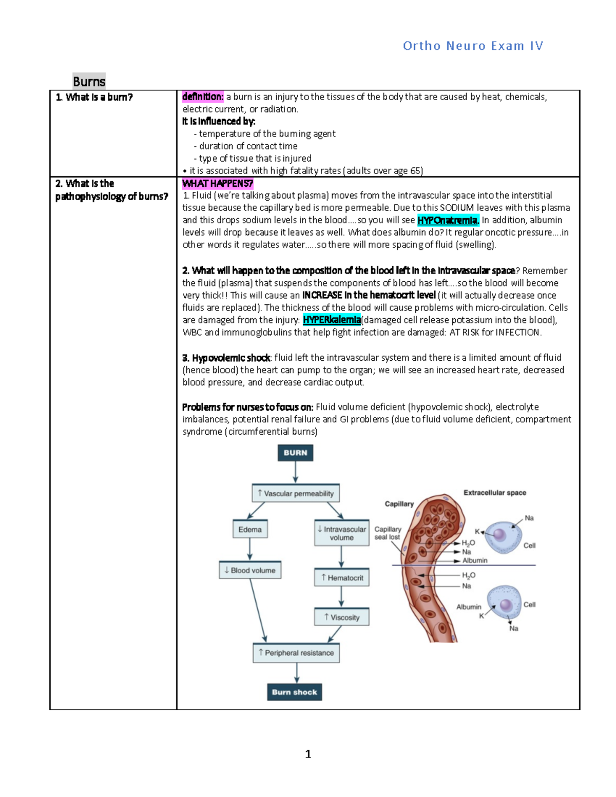 Ortho Neuro Exam IV Burns - Studocu