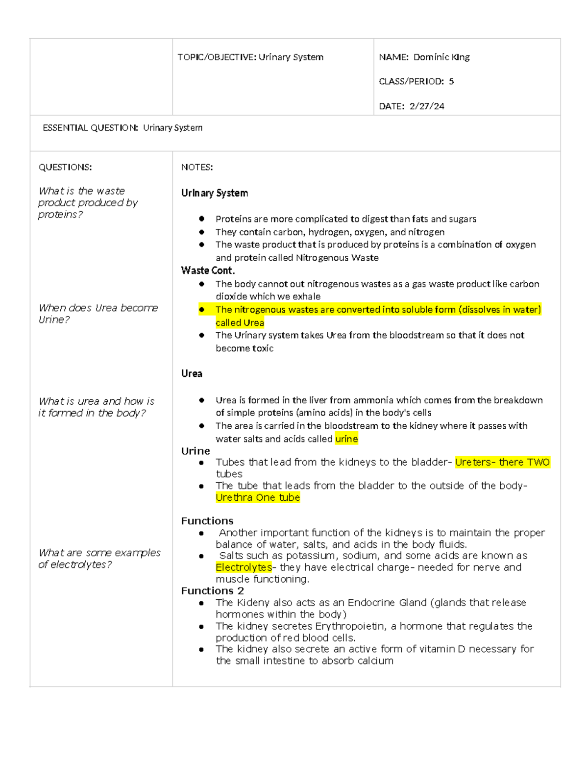 Urinary System - Notes NOW PLEASE LET ME DOWNLOAD THIS - TOPIC ...