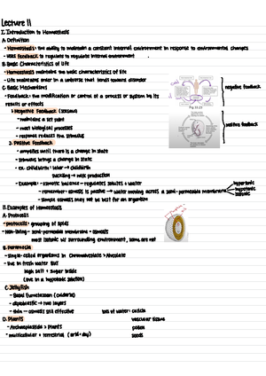 Lecture 13 Notes Gen Bio - Lecture 13 1 Of HormoneSecretion A ...