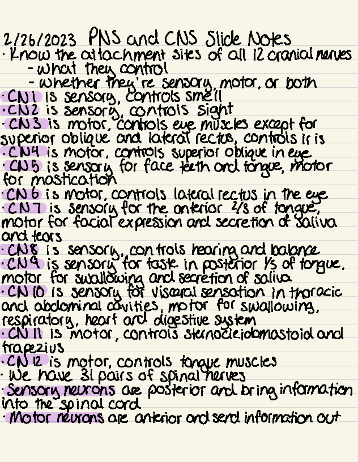 Cell 220 PNS and CNS Slide Notes - 2/26/2023 PNS and CNS Slide Notes ...