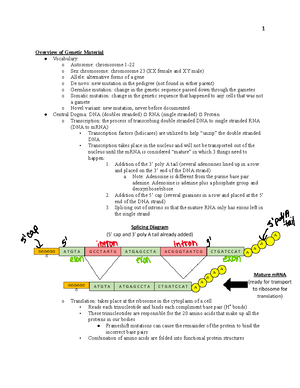 IC Regulation - Over traumatic brain injury - Concept: Intracranial ...