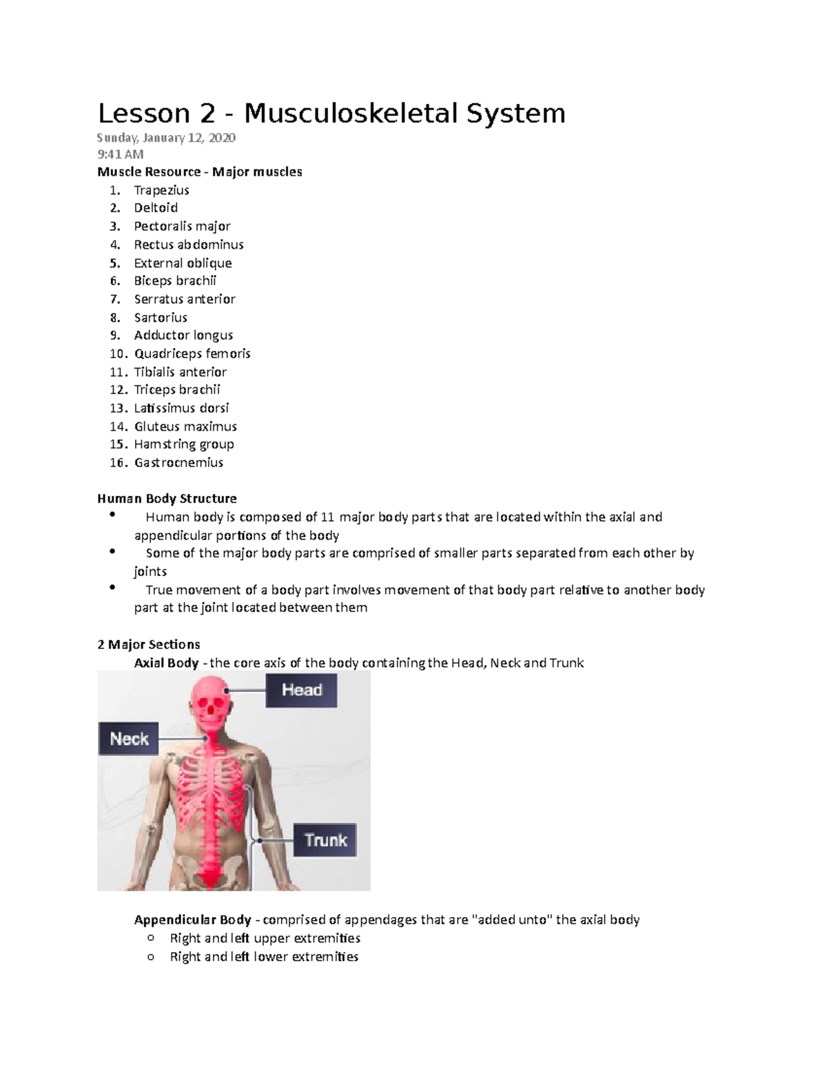 EXCI202-lesson 2 - Lecture notes 2 - Lesson 2 - Musculoskeletal System ...