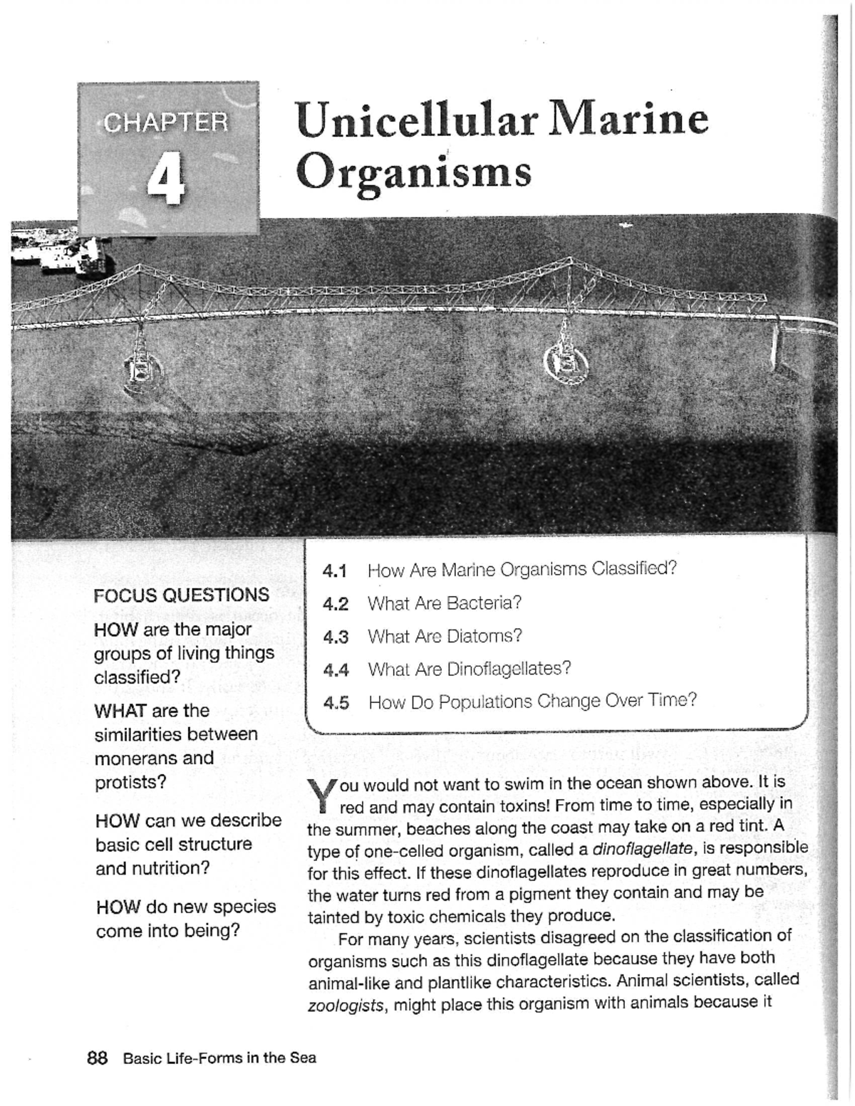 Caysin Palmer - Marine Bio Chapter 4 Lesson 1 (4 - Studocu