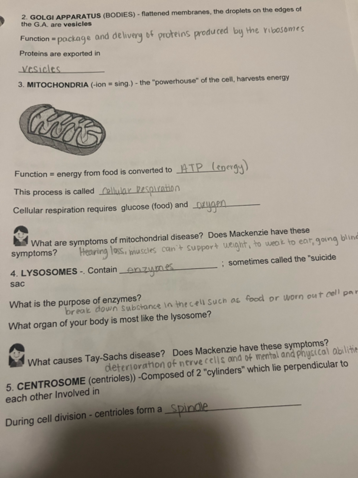 Biology ap 3 - Studocu