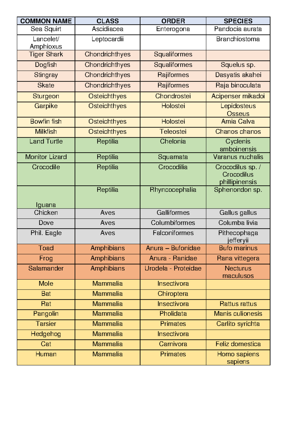 BIO taxonomic categories - COMMON NAME CLASS ORDER SPECIES Sea Squirt ...