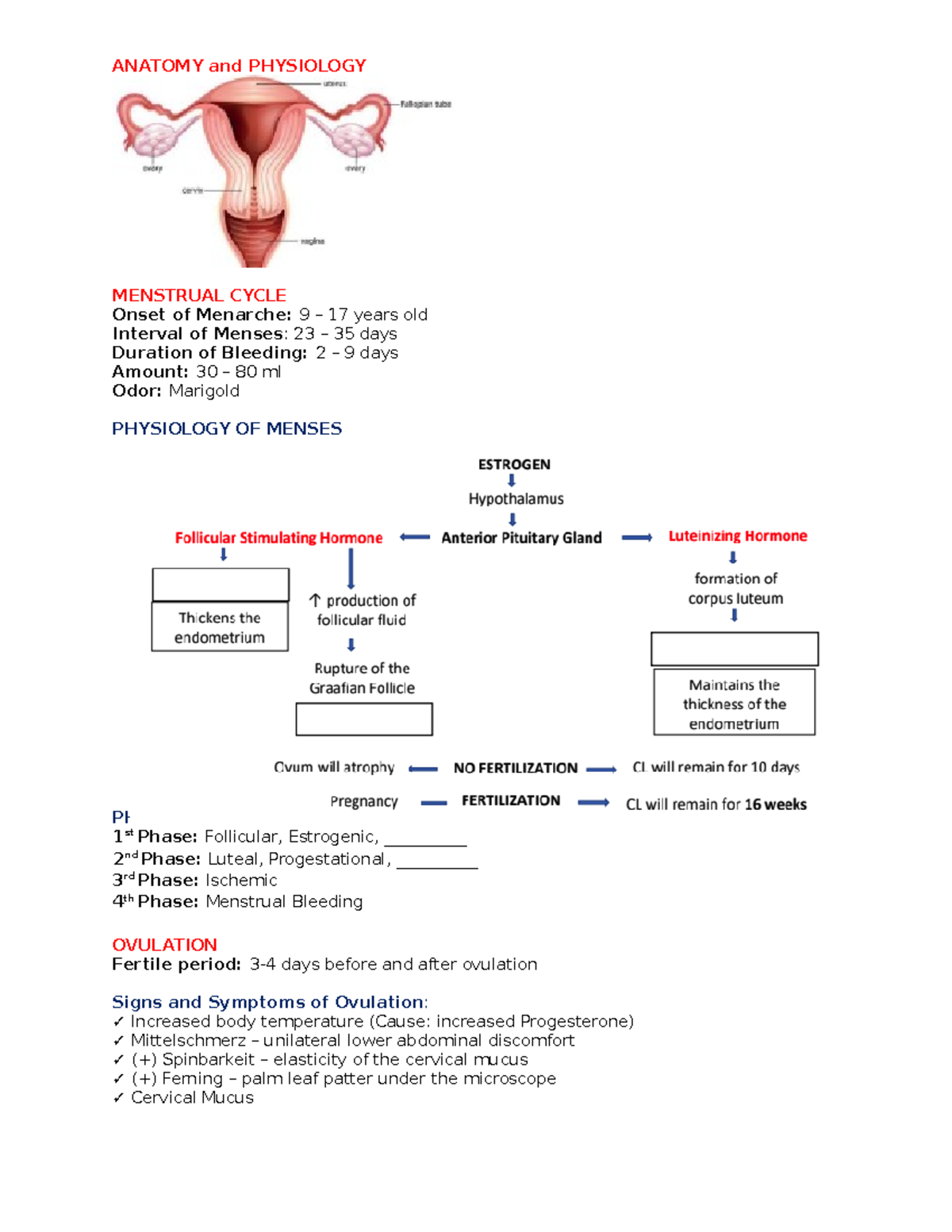 Obstet - this is a review material - ANATOMY and PHYSIOLOGY MENSTRUAL ...