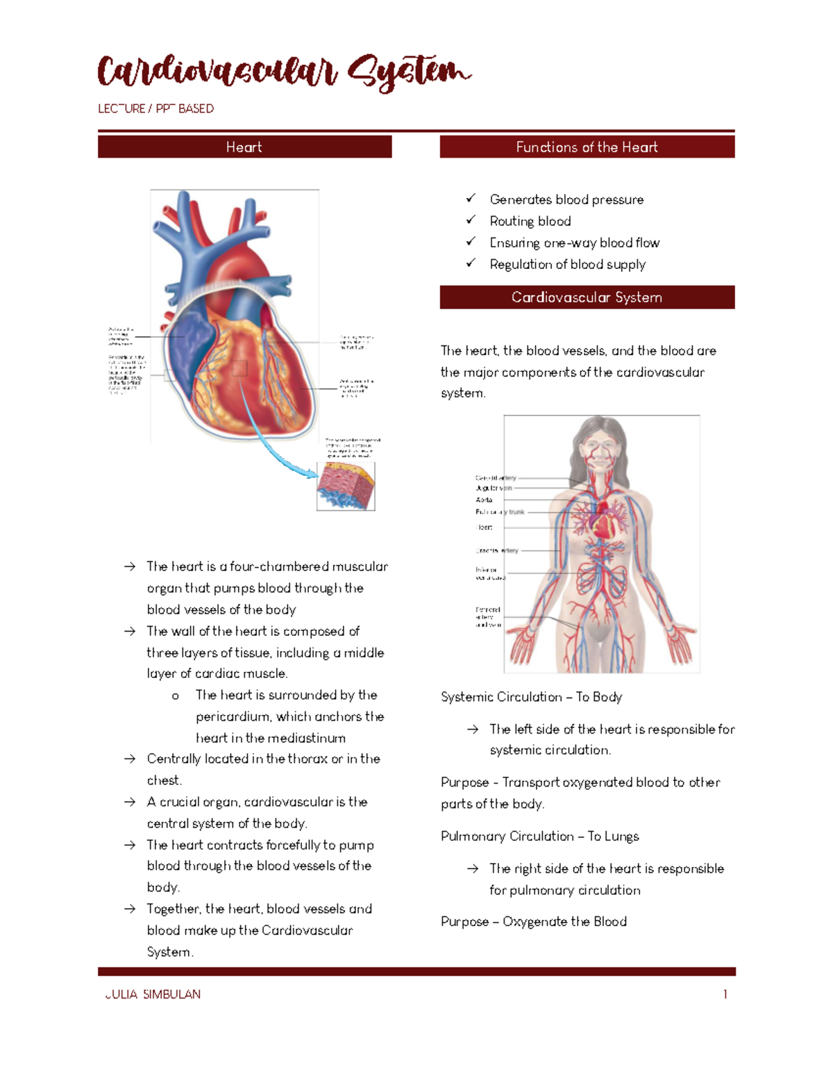 Anaphy-Cardiovascular-System - LECTURE / PPT BASED Heart → The heart is ...