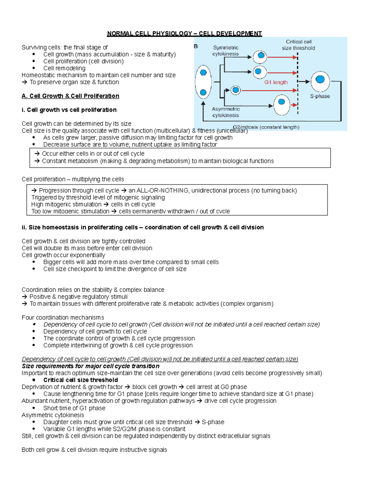 Normal Cell Physiology Cell Growth Cell Metabolism - NORMAL CELL ...