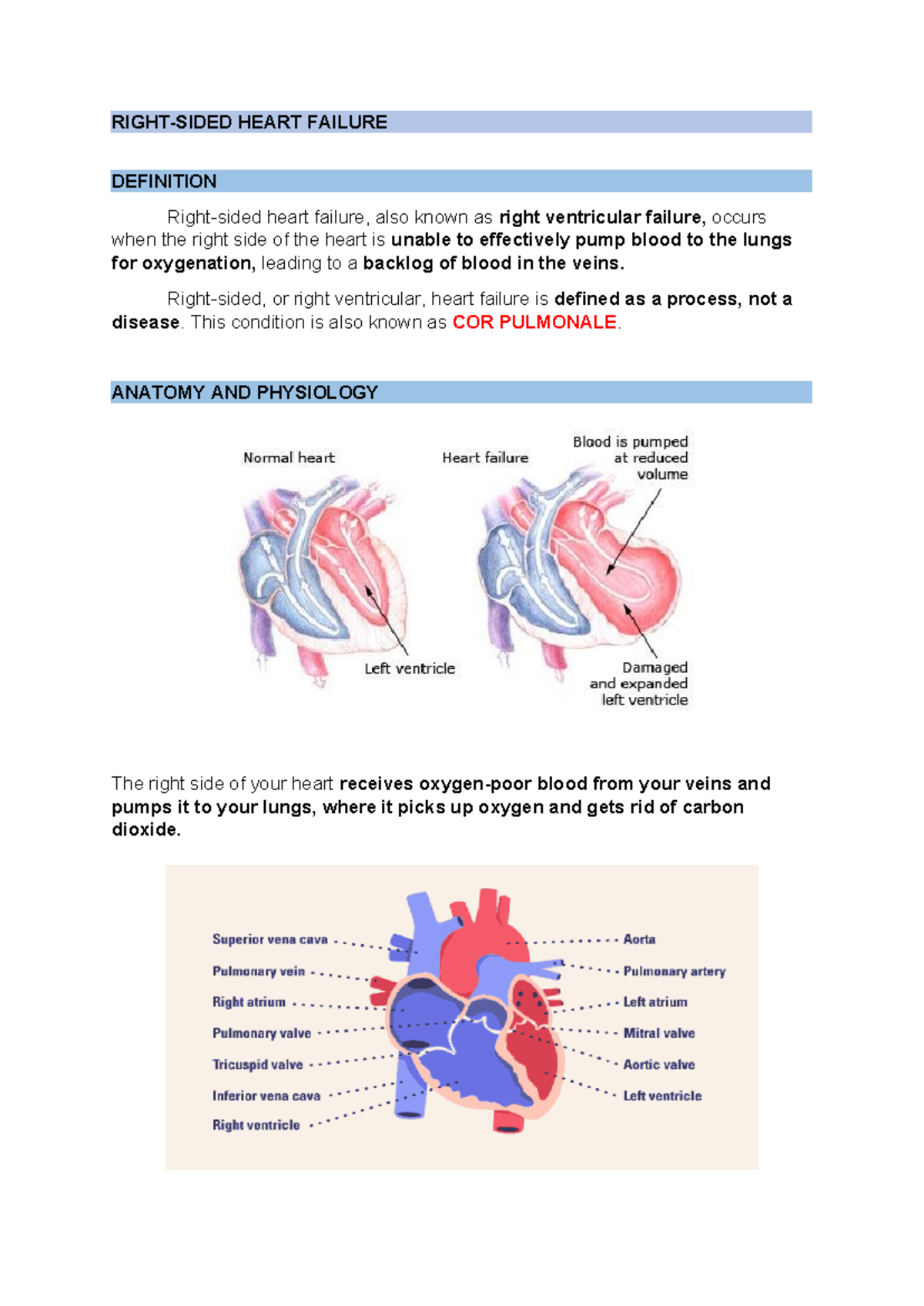Right Sided Heart Failure - RIGHT-SIDED HEART FAILURE DEFINITION Right ...