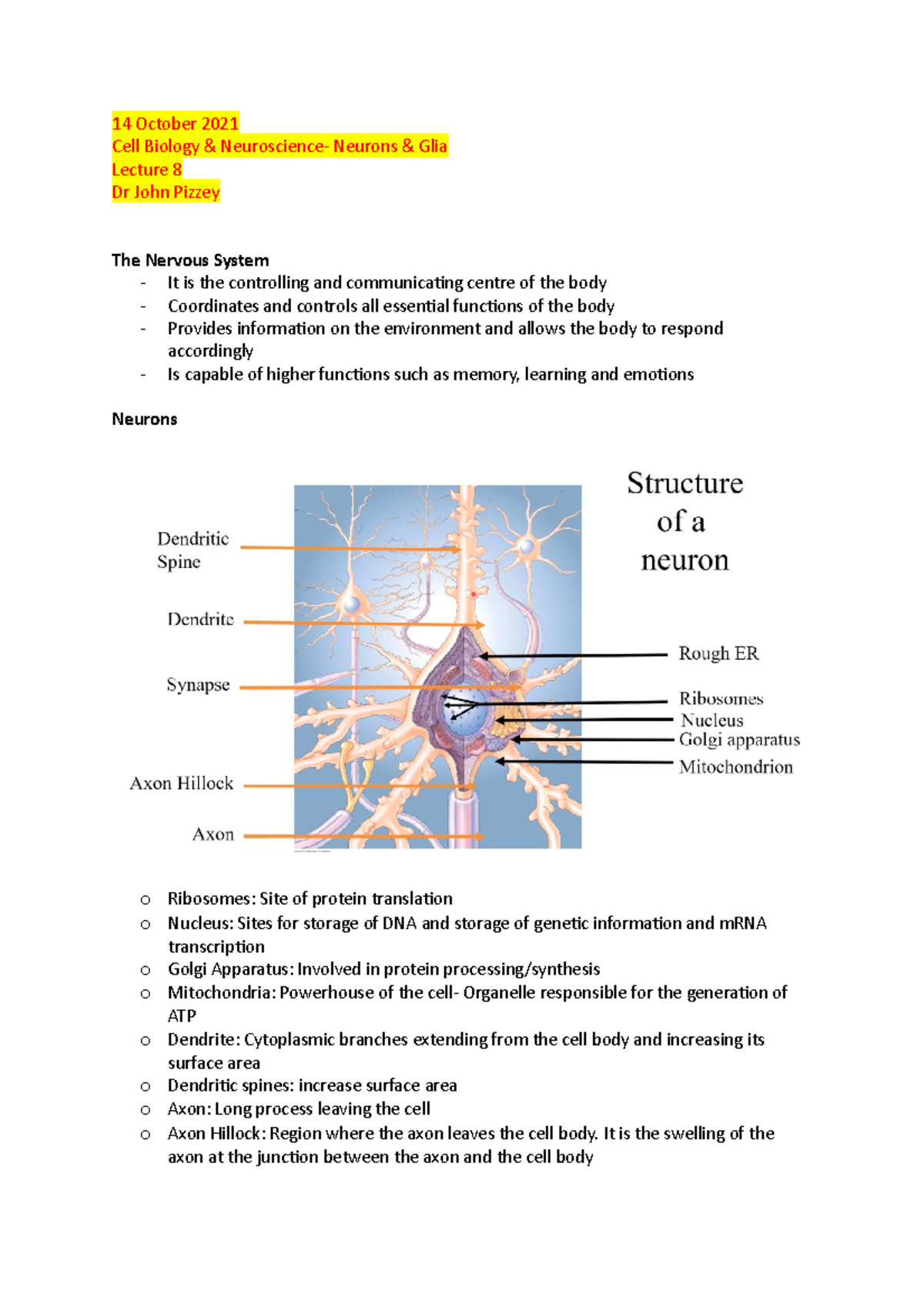 Cell Biology & Neuroscience- Neurons & Glia Lecture 8 - 14 October 2021 ...