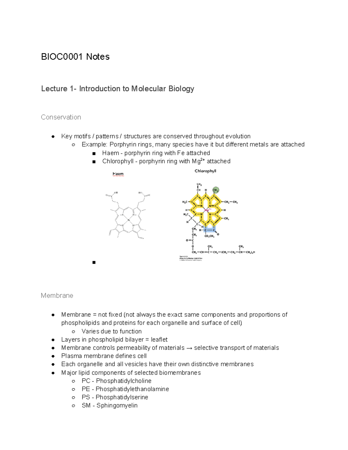 BIOC0001 - Lectures 1 and 2 - BIOC0001 Notes Lecture 1- Introduction to ...