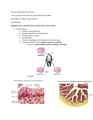 BU- Trees Post-lab Week 3 - BIO 1105 BU-TREES Post-lab Week 3 Describe ...