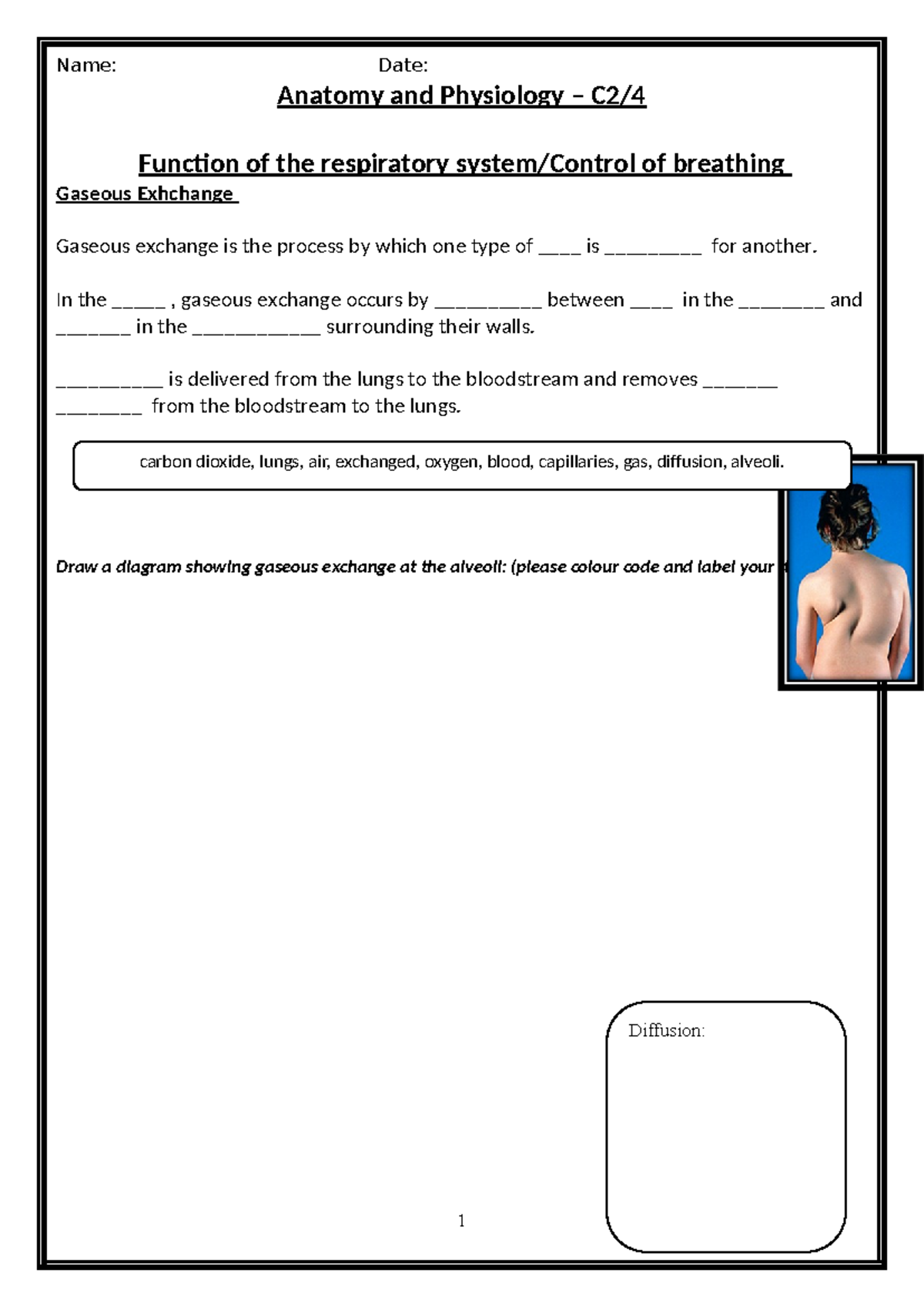 C2 and C4 Respiratory worksheet - Basic version for Revision - Name ...