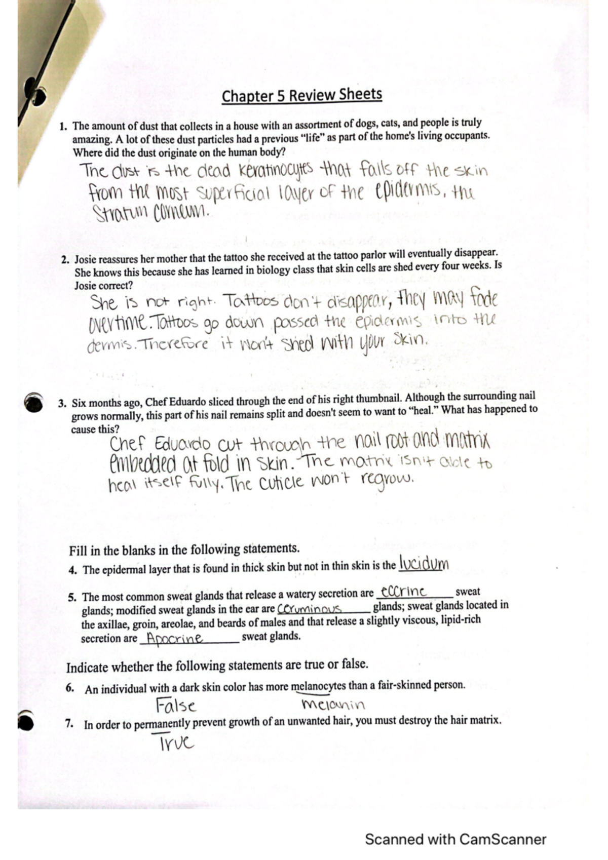 Chapter 5 Review Questions - BIOL 141 - Studocu