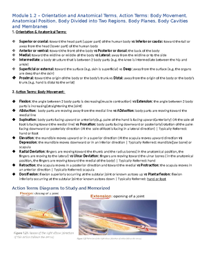 Portage learning anatomy and physiology 1 module 5 lab exam - BIOD 151 - Studocu