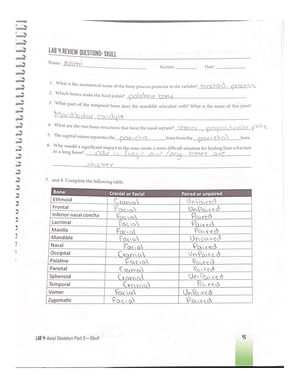 [Solved] Data Table 1 Lab Safety Equipment Alternatives Shower or Sink - Human Anatomy ...