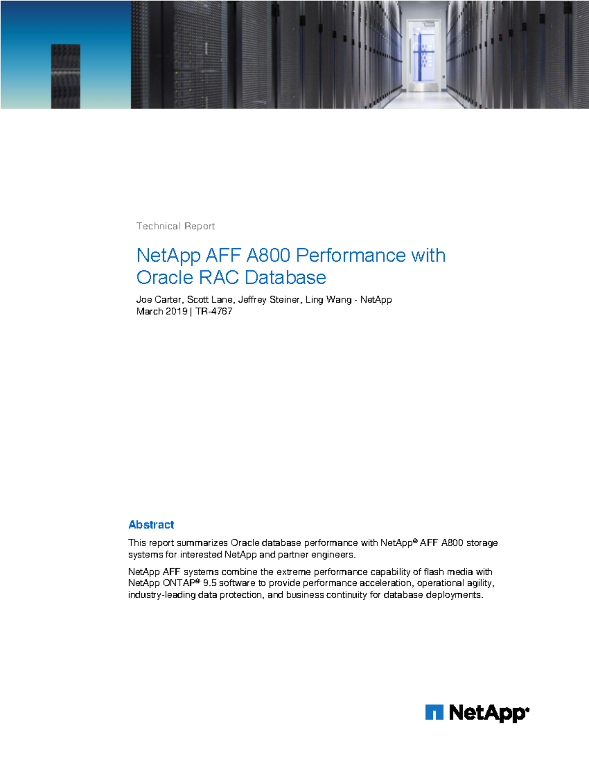 Netapp Detalles de Configuracion - Technical Report NetApp AFF A800 ...