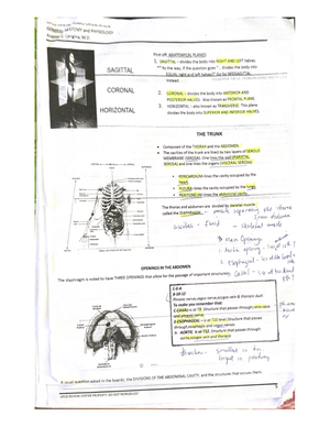 Anatomy and Physiology - 09 Senses - HUMAN ANATOMY AND PHYSIOLOGY ...