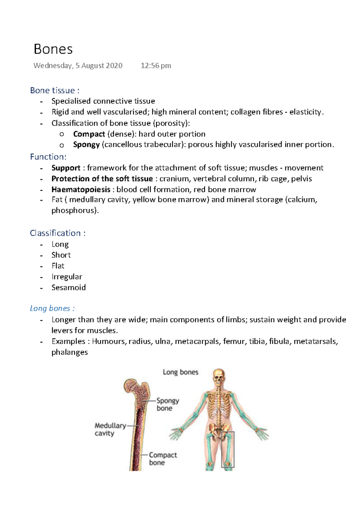 Bones ANAT - Bone tissue : Specialised connective tissue Rigid and well ...