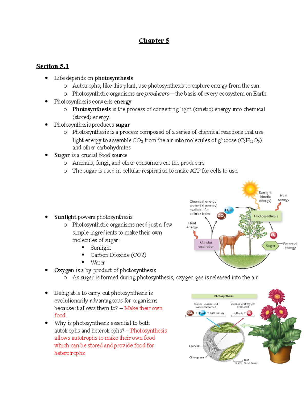 Chapter 5 Notes - Chapter 5 Section 5. Life depends on photosynthesis o ...