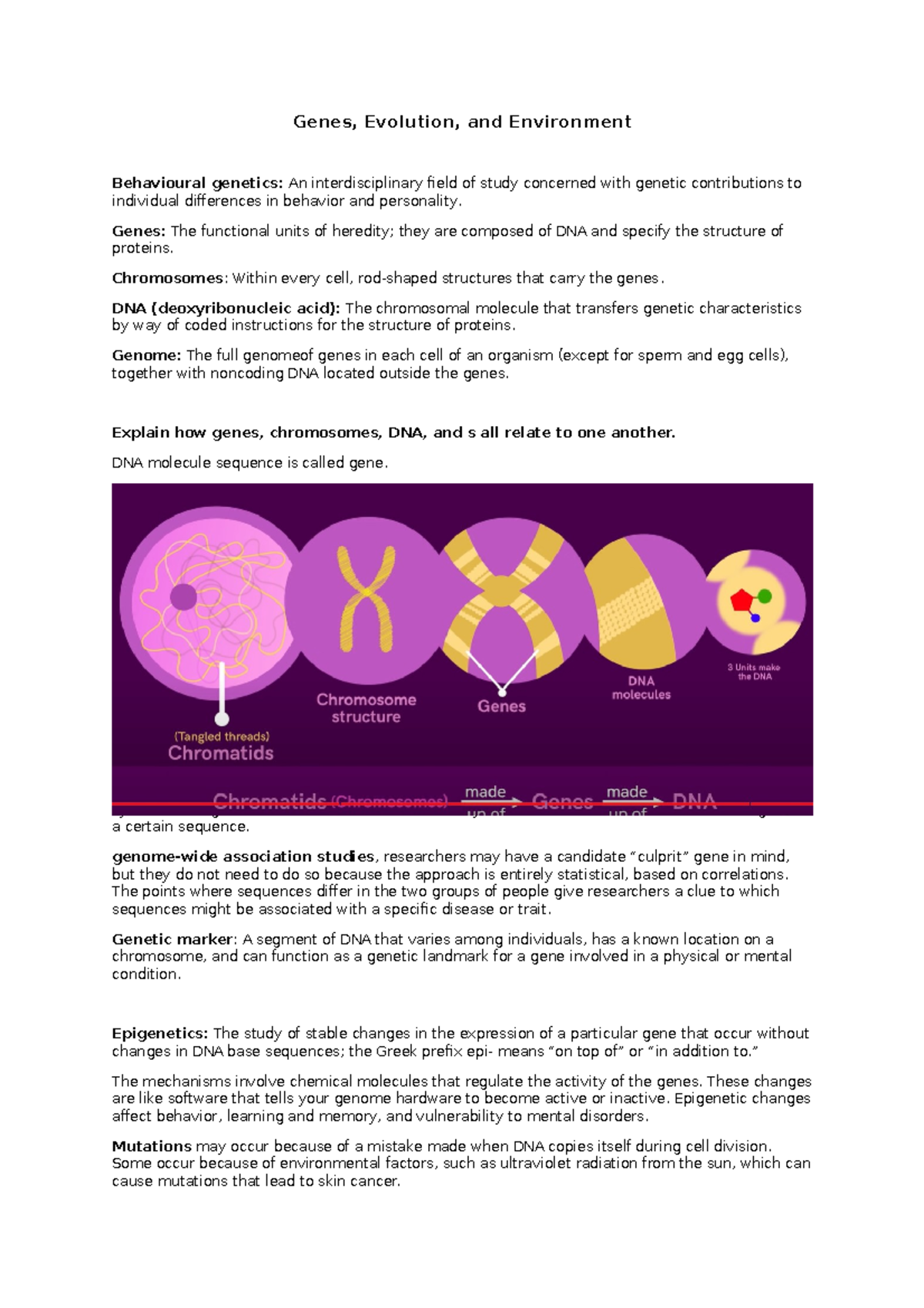 Genes - notes - Genes, Evolution, and Environment Behavioural genetics ...