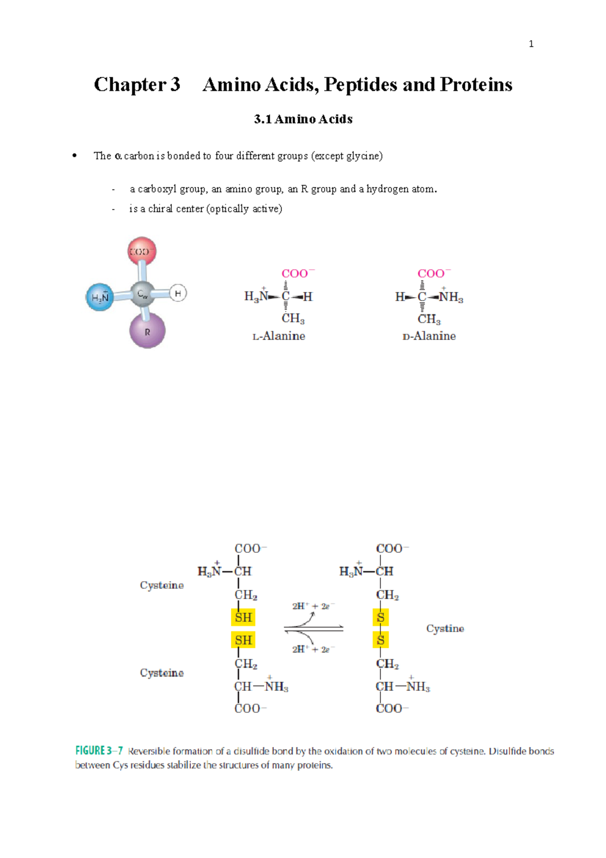 4- KIM3421 Biochemistry-1 Aminoacids-Chemical Properties (Uncommon ...