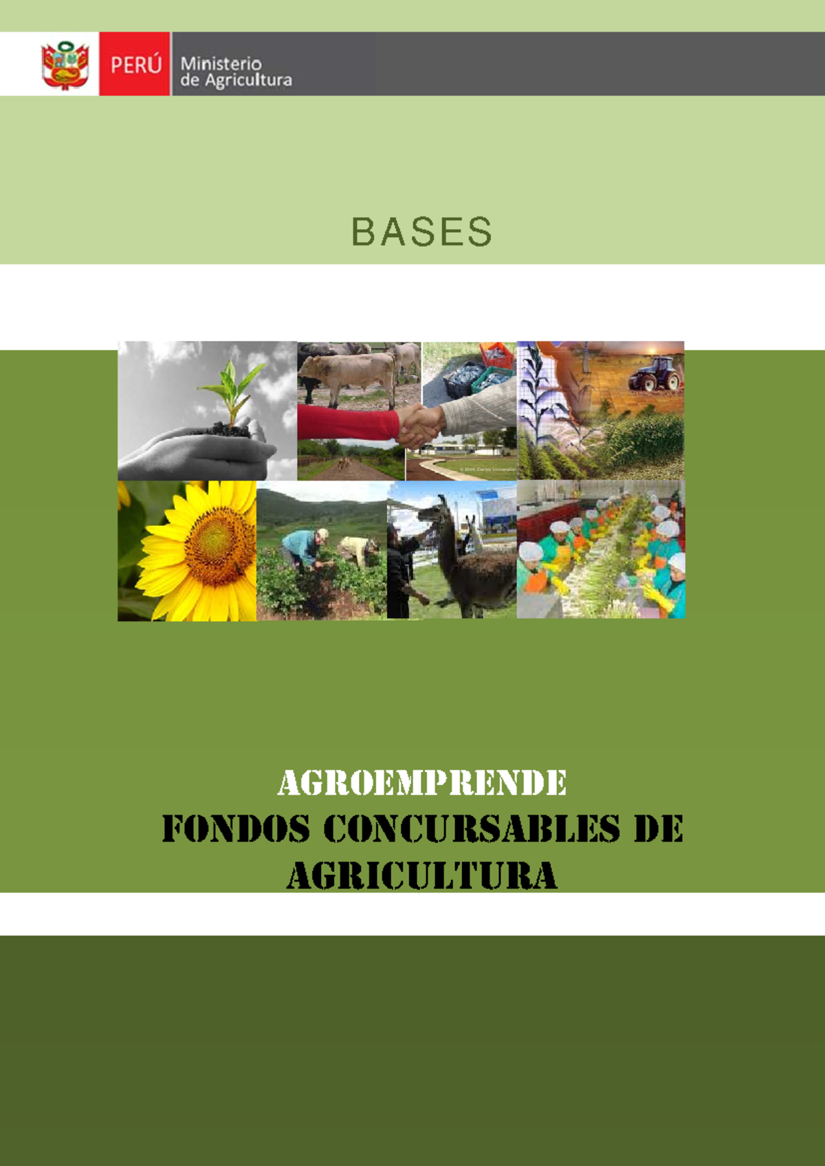 Bases agroemprende fc 2010 - BASES AGROEMPRENDE FONDOS CONCURSABLES DE AGRICULTURA SEGUNDO ...