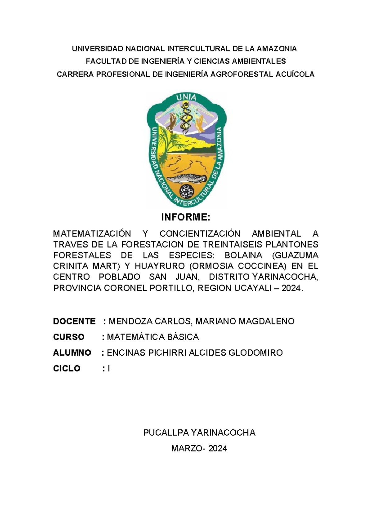 Informe Reforestacion pichirri - UNIVERSIDAD NACIONAL INTERCULTURAL DE ...