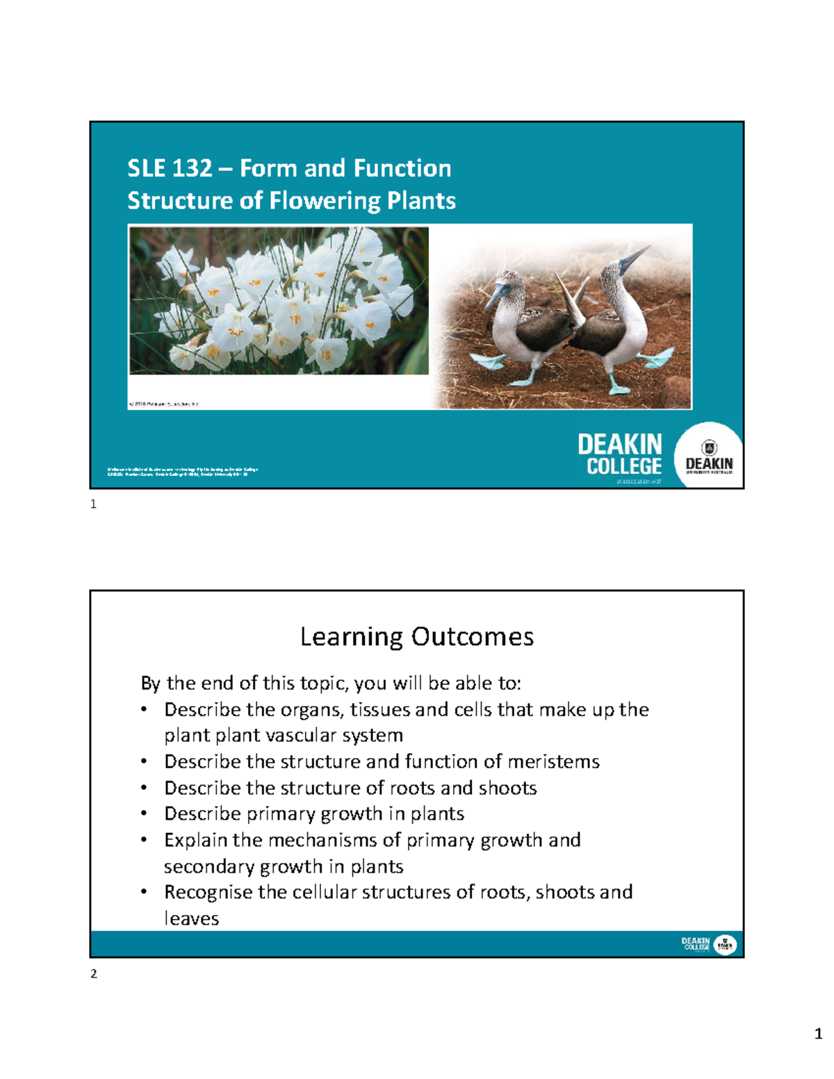 Week 3a - Notes - ####### Melbourne Institute of Business and ...