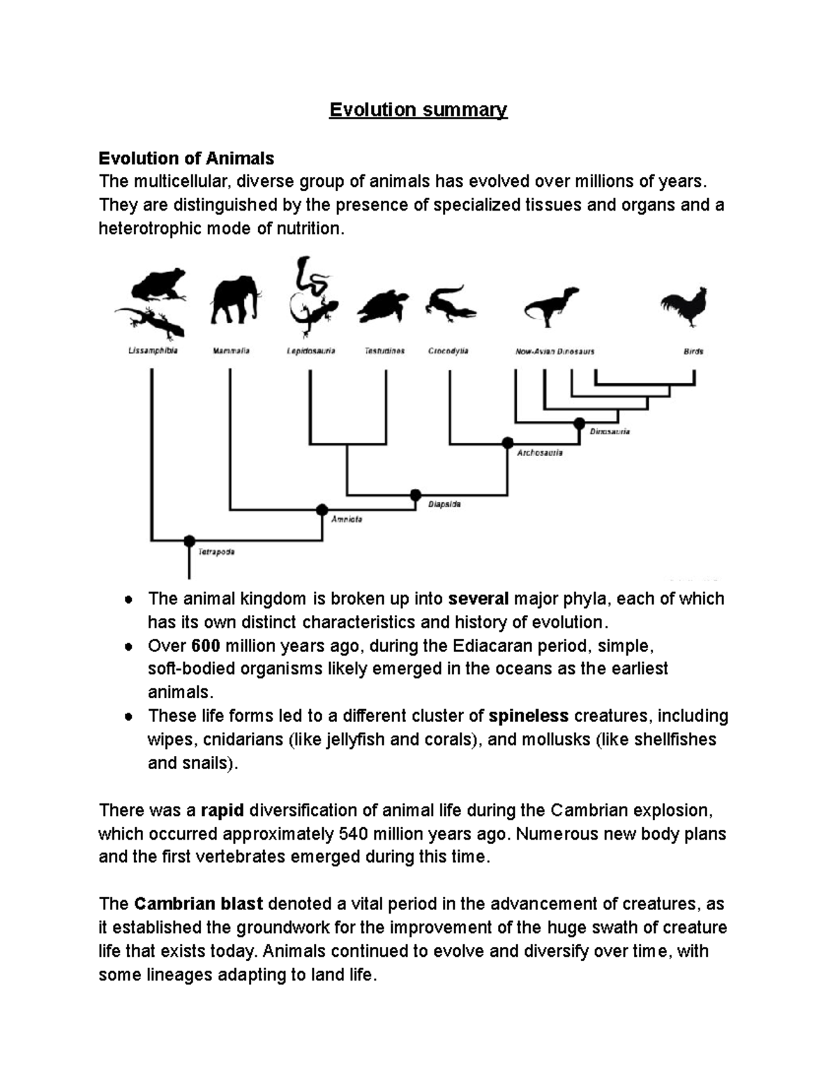 Evolution summary - Evolution summary Evolution of Animals The ...