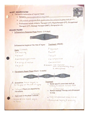 KIN 255; Notes 4 - Figuring out the function of cortical regions Single ...