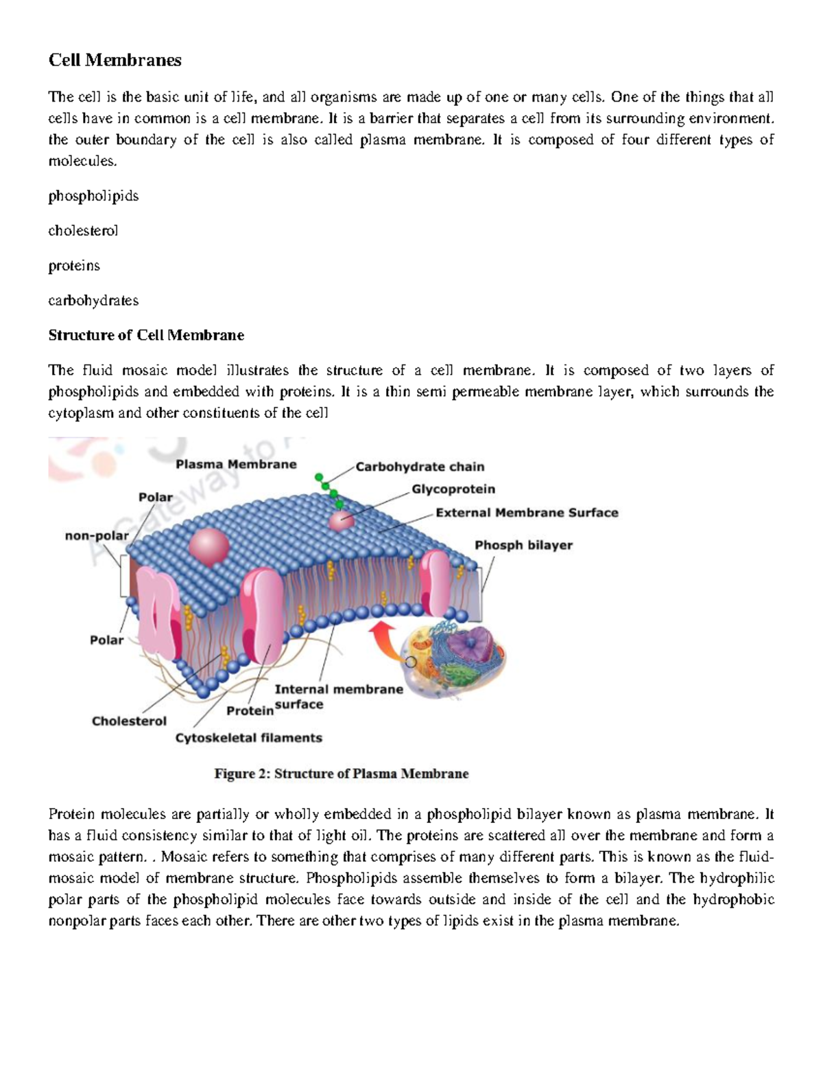 Cell membrane - bioinorganic topic. - Cell Membranes The cell is the ...