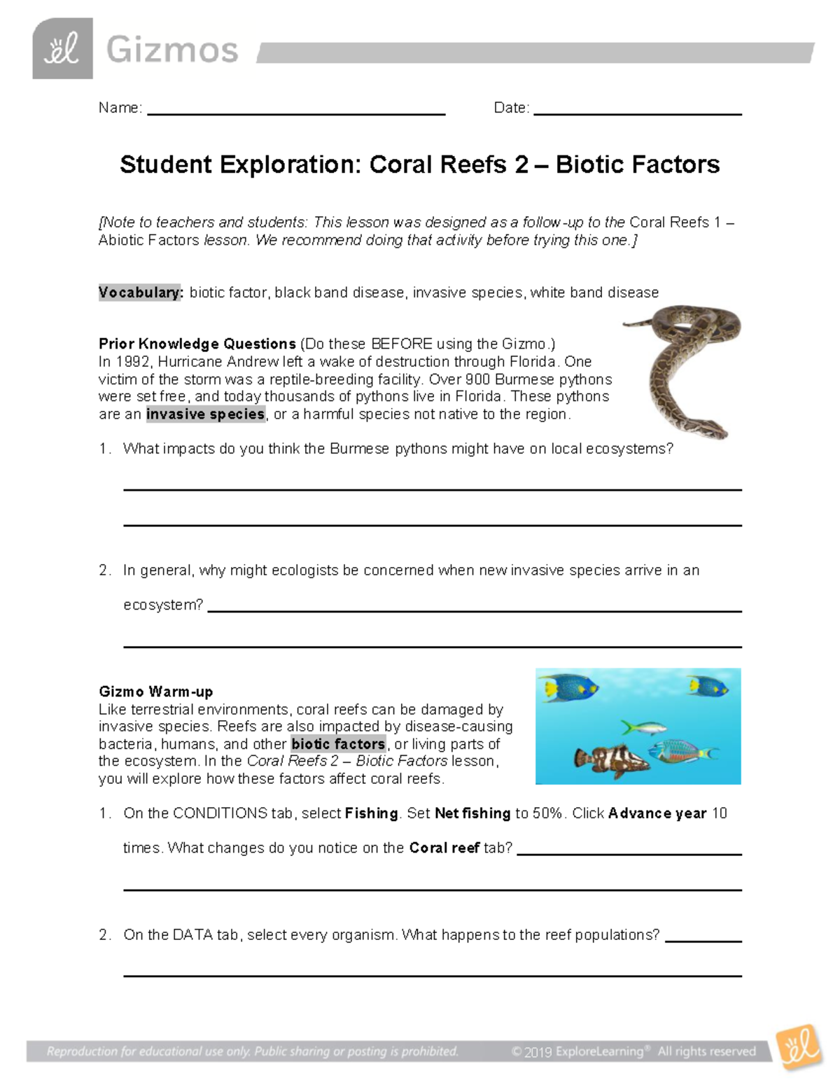 Coral Reefs 2 - Rtyuiopoiuytgrfdesaqwertyujkmnbvcxdertyuimv. Gfhyuikl ...