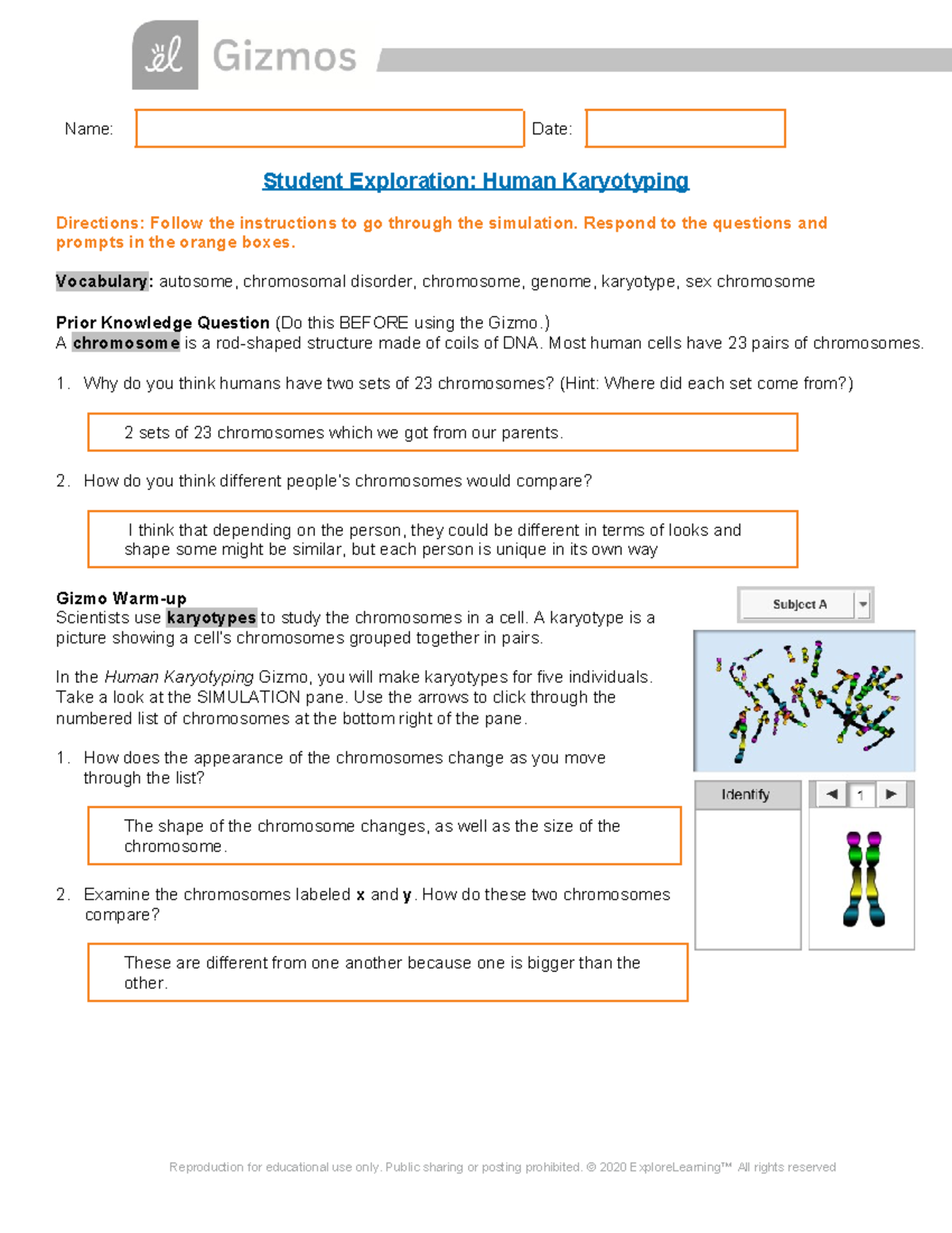 Copy of Human Karyotyping SE - Name: Date: Student Exploration: Human ...
