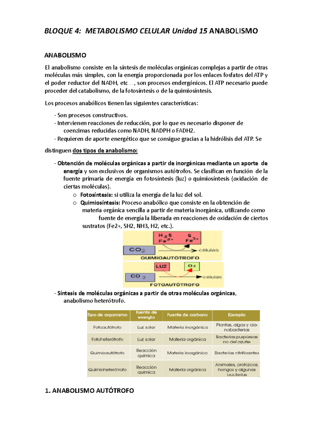 Metabolismo- Anabolismo - BLOQUE 4: METABOLISMO CELULAR Unidad 15 ...