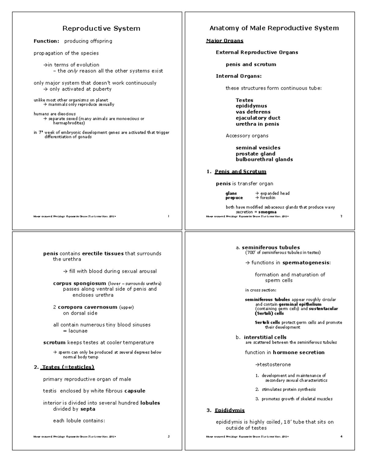 P.Reproductive System - Human Anatomy & Physiology: Reproductive System ...
