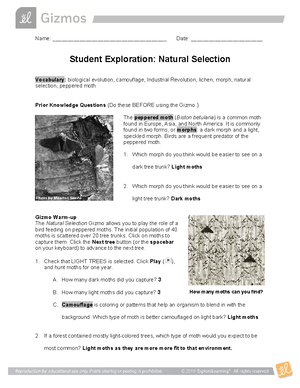 Peppered Moths Natural Selection Game - asu/peppered-moths-game/play ...