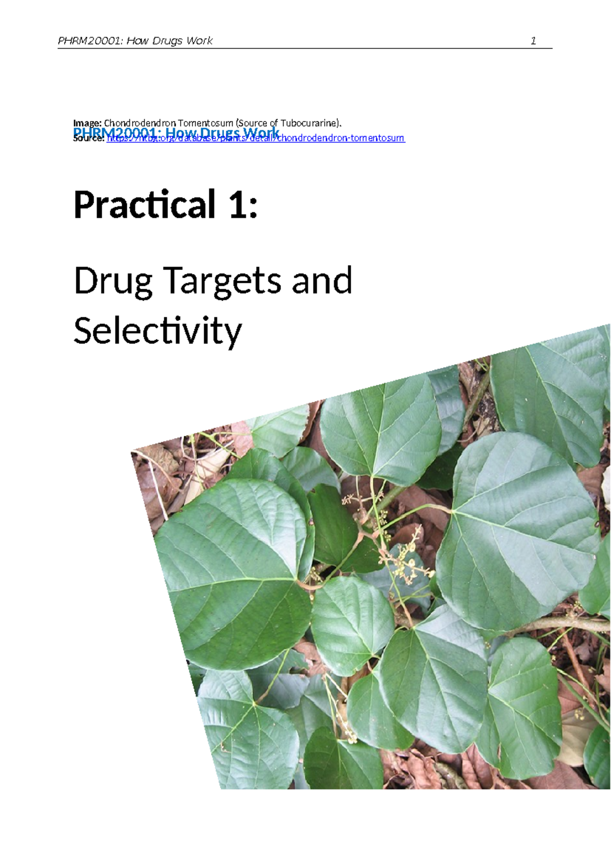 PHRM2000 1 - Practical 1 - Drug targets and selectivity - 2024 ...