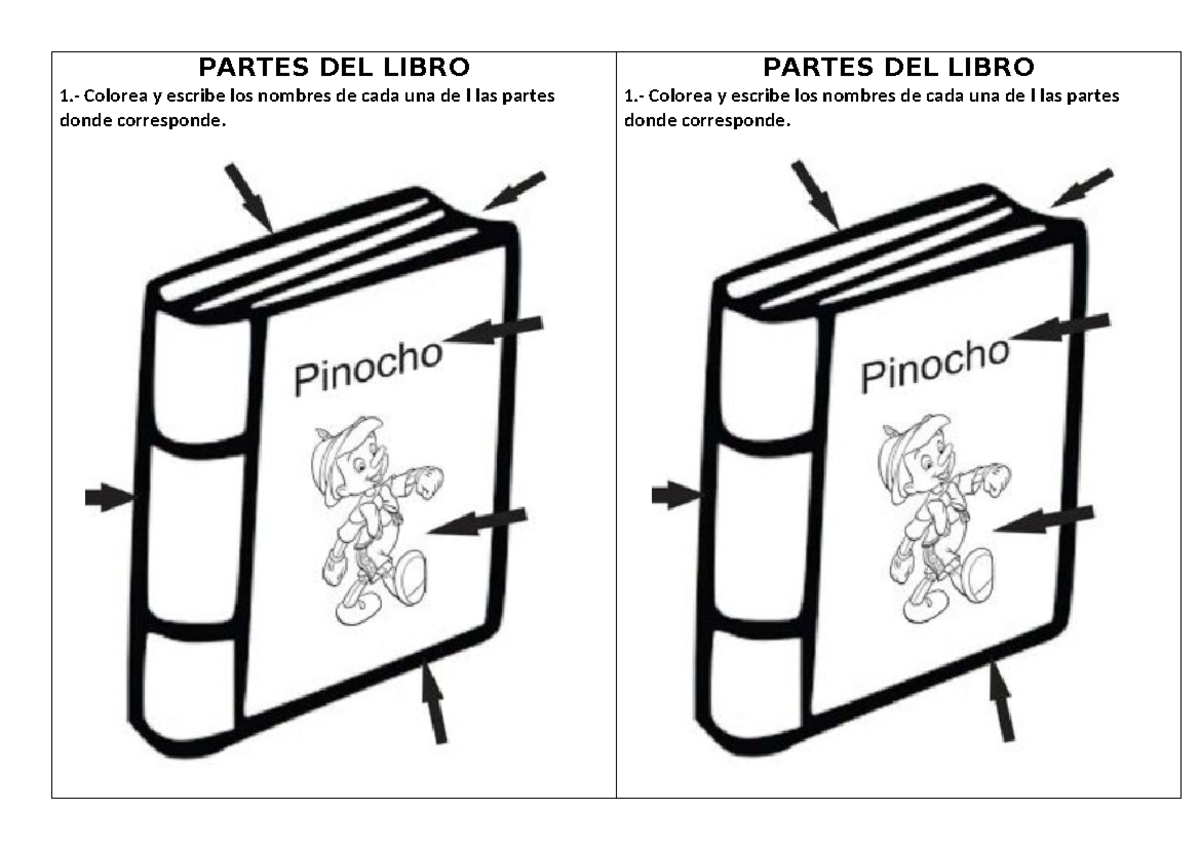 Partes DEL Libro consuelo planlector - educacion primaria tutoria ...