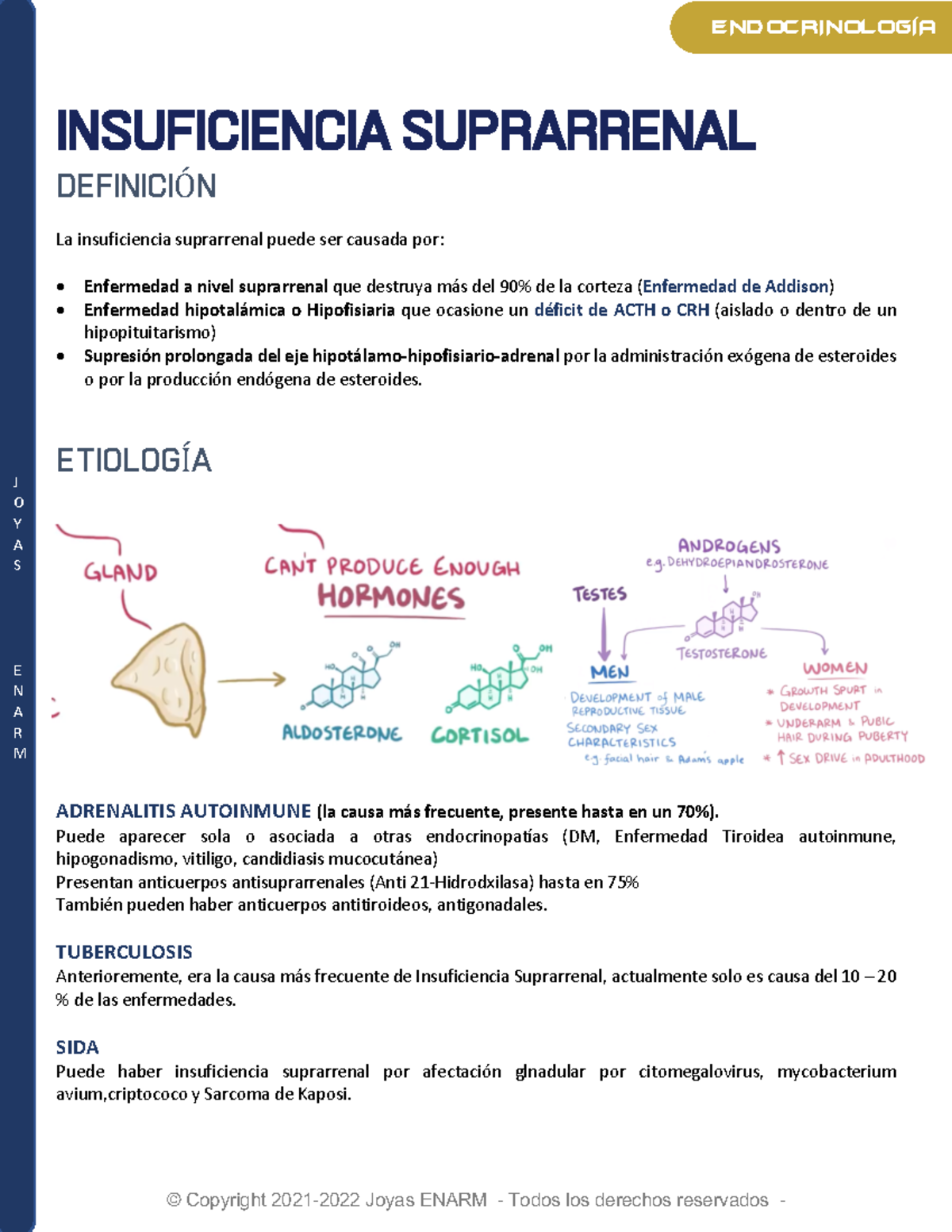 Insuficiencia Suprarrenal (Enfermedad de Addison y Central) - J O Y A S ...