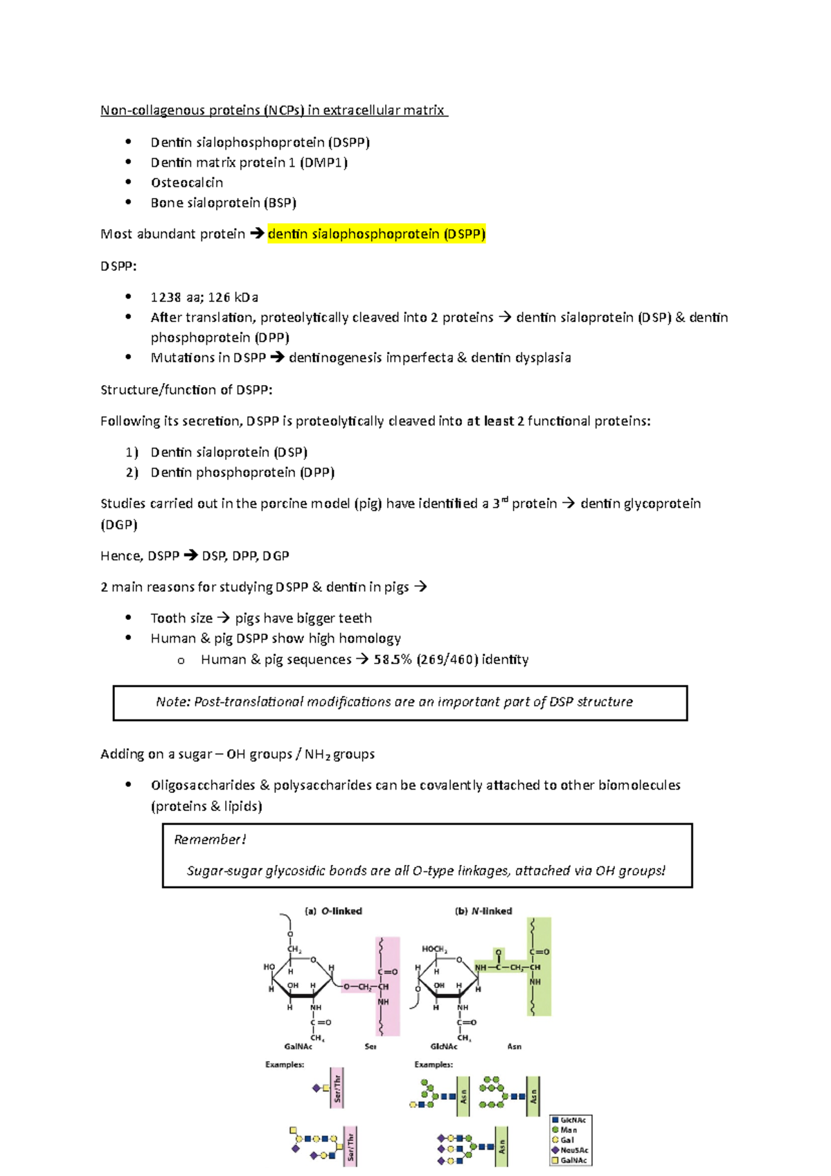 Dental case studies - Lec 7 Part 2 - Non-collagenous proteins (NCPs) in ...