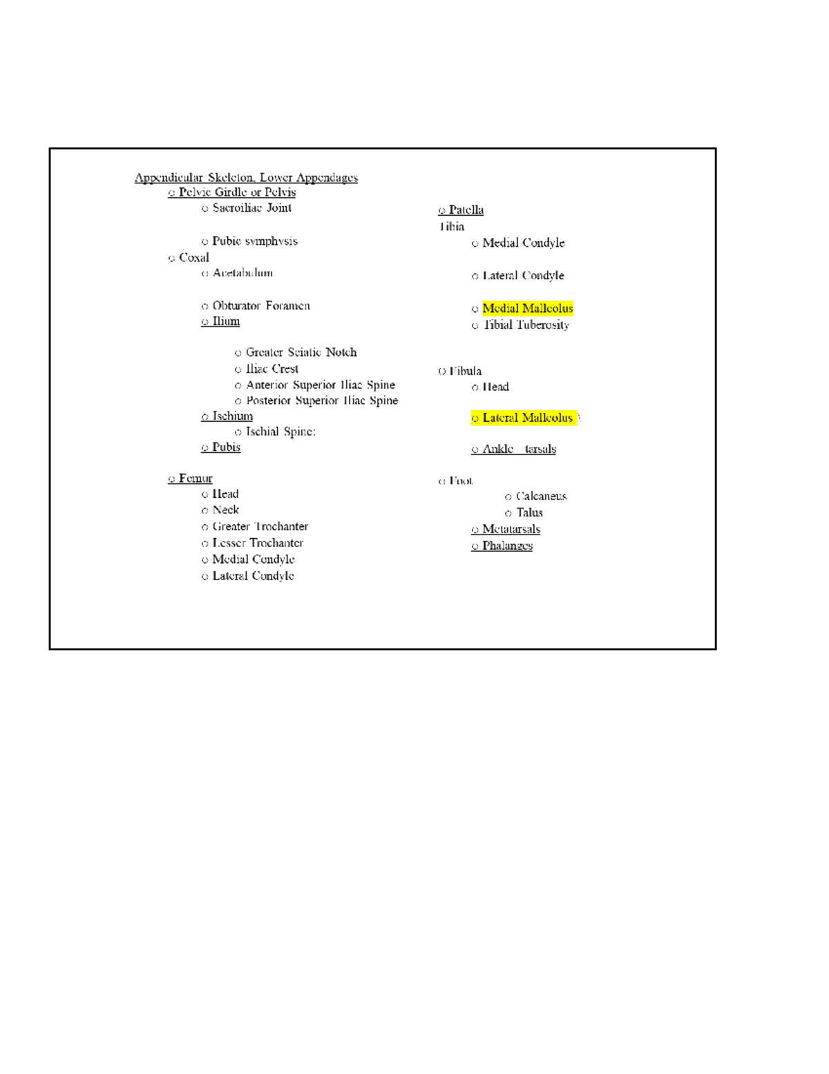 appendicular skeleton - Appendicular Skeleton, Lower Appendages Pelvic ...