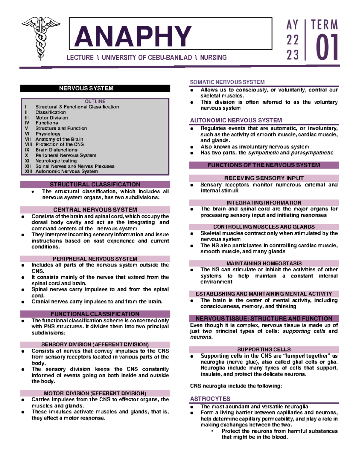 Nervous - lecture notes - LECTURE \ UNIVERSITY OF CEBU-BANILAD ...