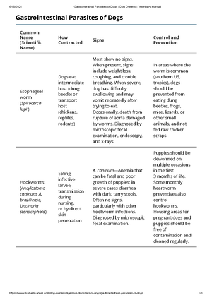 Kenegaraan - Thats all about my assignment - (SKP2101) KENEGARAAN ...