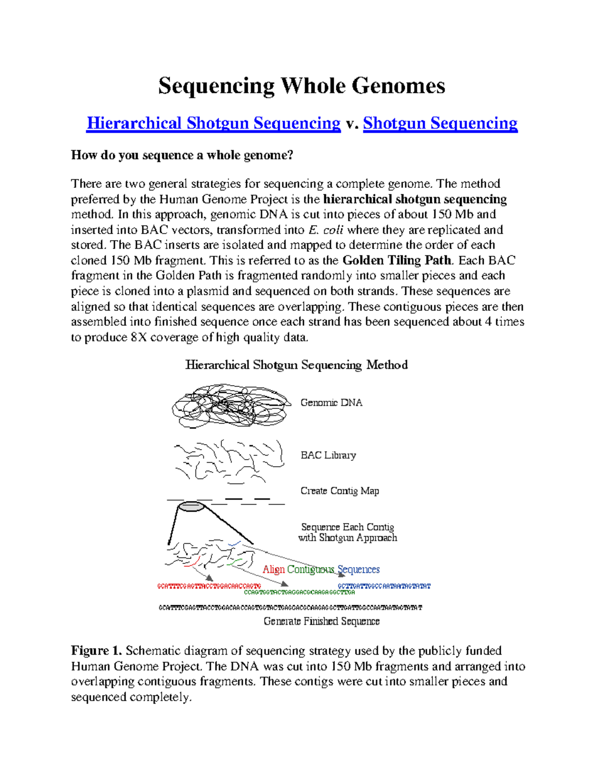 Sequencing Whole Genomes - Sequencing Whole Genomes Hierarchical Shotgun Sequencing v. Shotgun ...