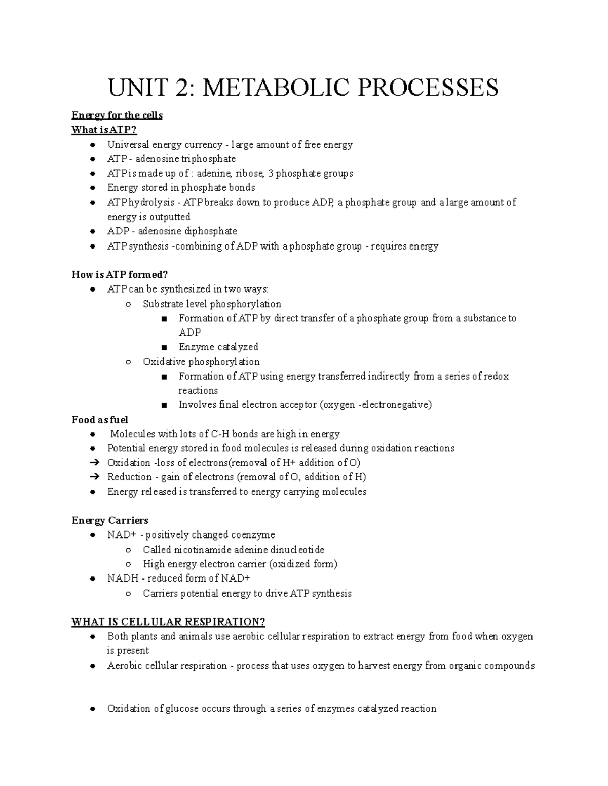 UNIT 2 - unit 2 bio - UNIT 2: METABOLIC PROCESSES Energy for the cells ...