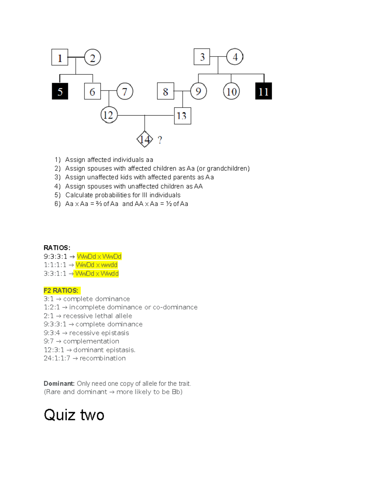 MBG 2040 Midterm Review - Assign affected individuals aa Assign spouses ...