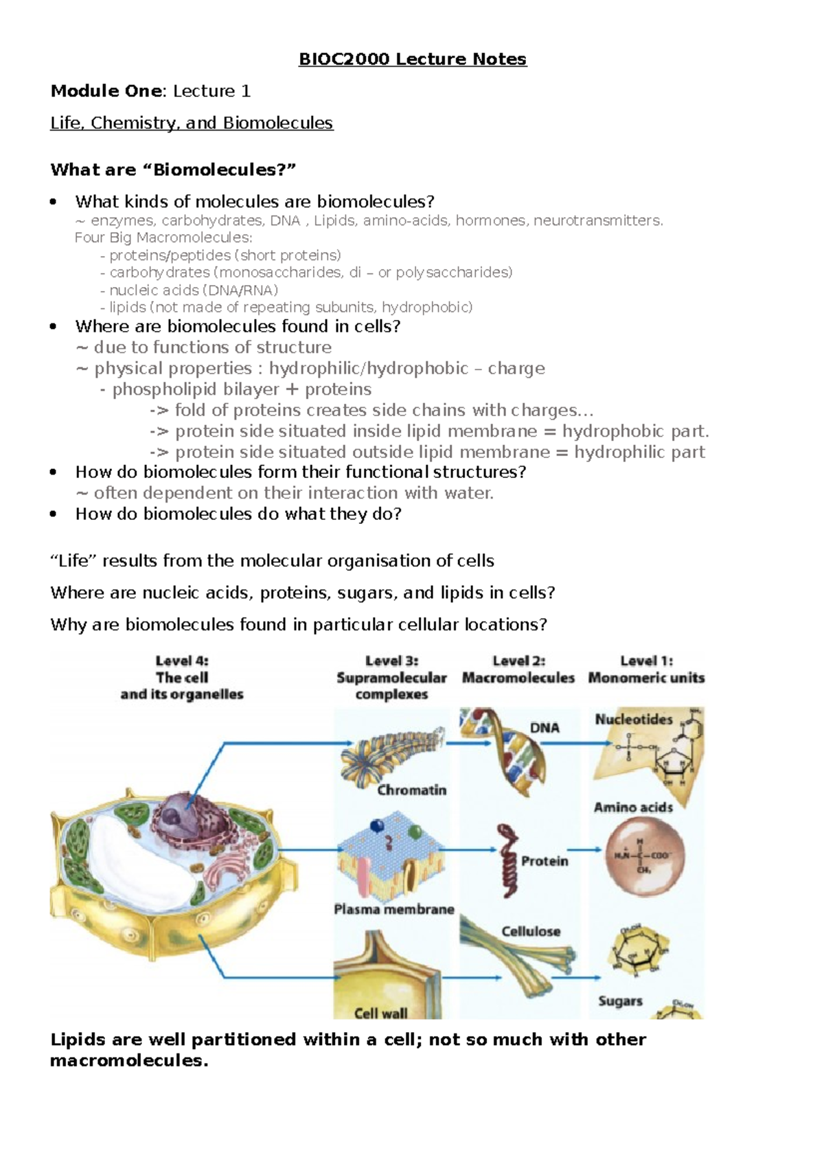 BIOC2000 Lecture Notes Modules 1-4 - BIOC2000 Lecture Notes Module One ...