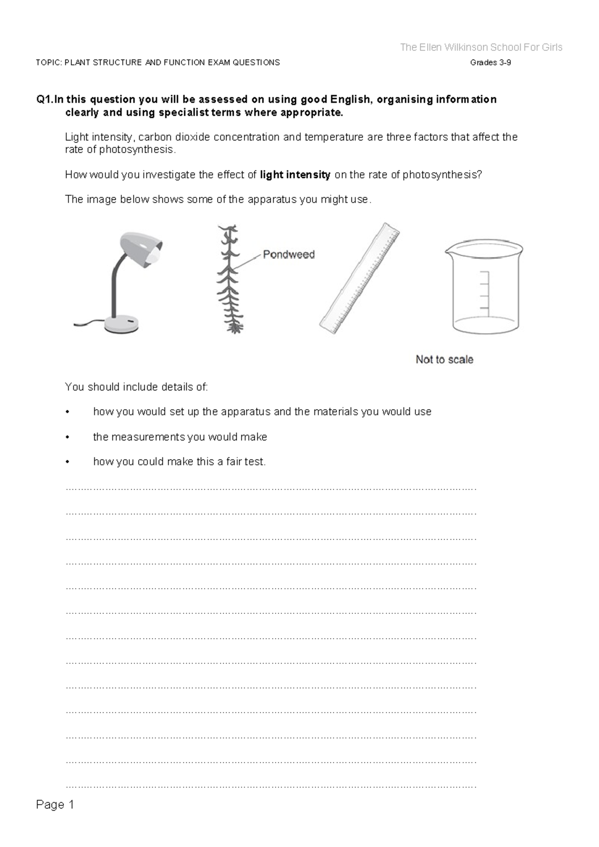 GCSE Plant Structure and Function Exam Pack - TOPIC: PLANT STRUCTURE ...